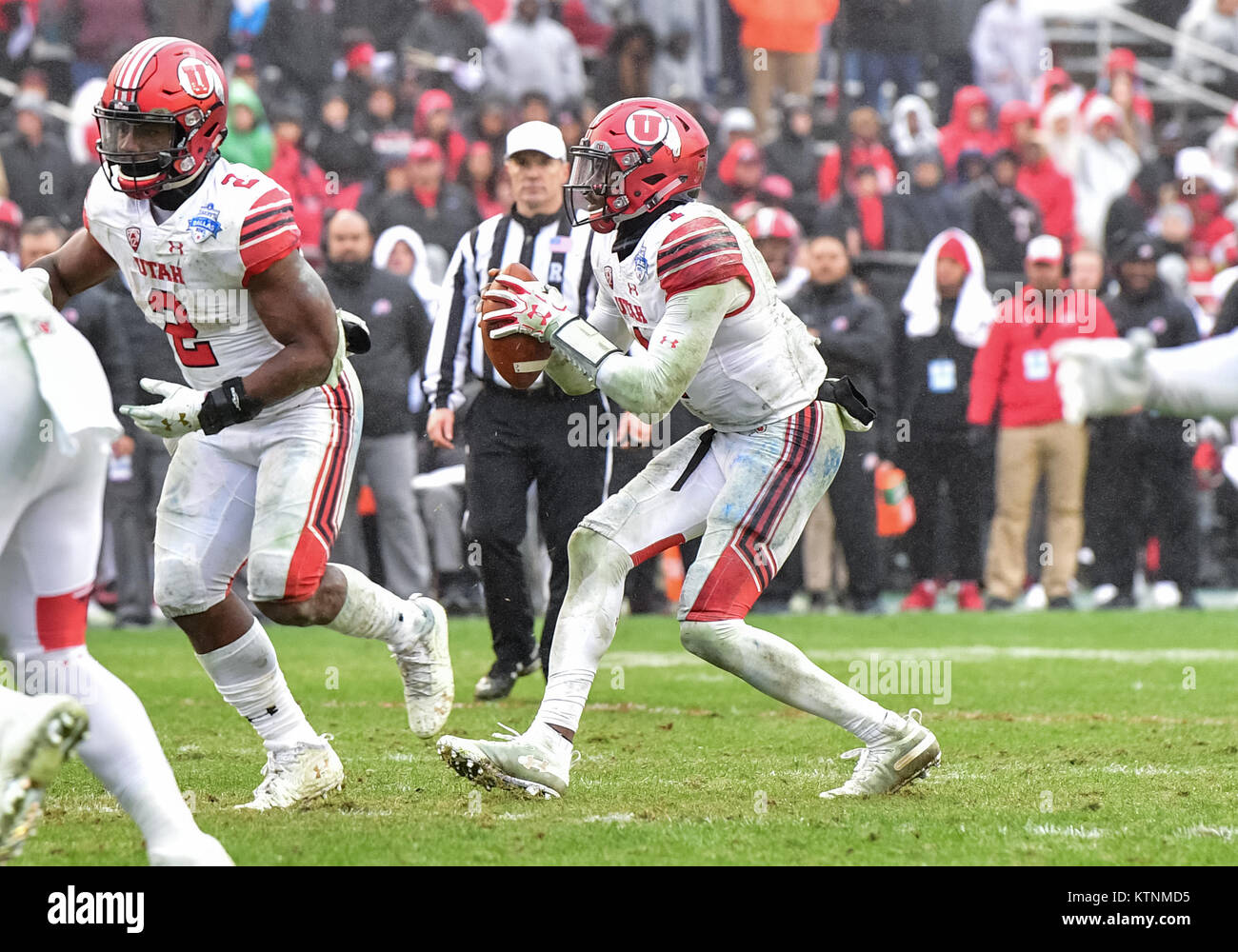 20171226mf 110 jpg hi-res stock photography and images - Alamy