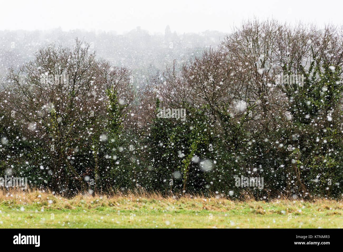 Riddlesdown Common High Resolution Stock Photography and Images - Alamy
