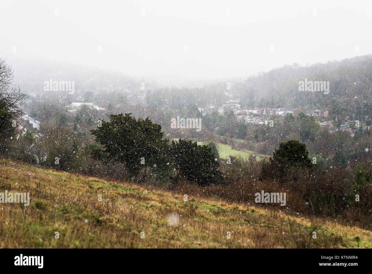 Riddlesdown common hi-res stock photography and images - Alamy