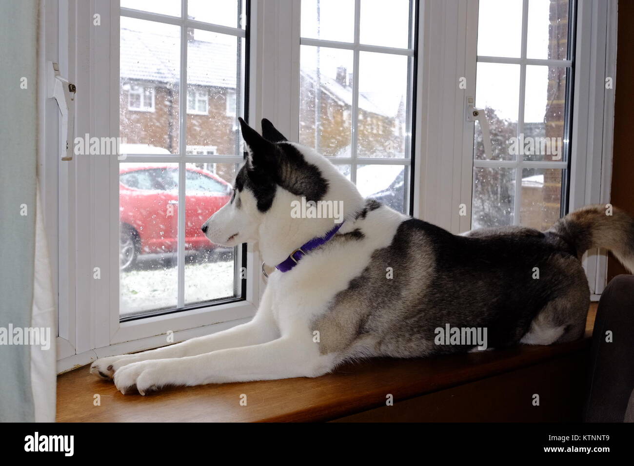 Paul gregg hi-res stock photography and images - Alamy