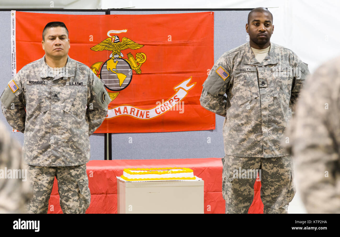 Prior service Marines now in the 42nd Combat Aviation Brigade, NY Army ...
