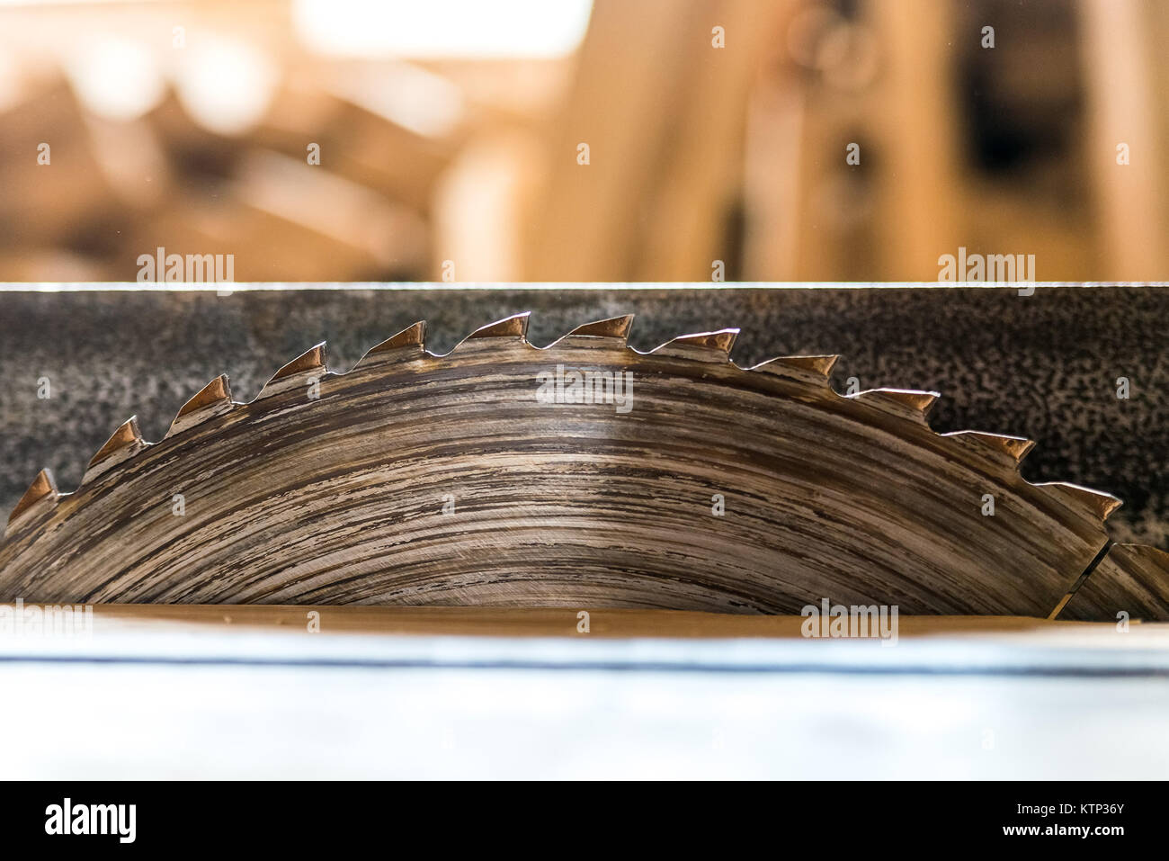 Closeup image of teeth of circular saw in carpentry Stock Photo - Alamy