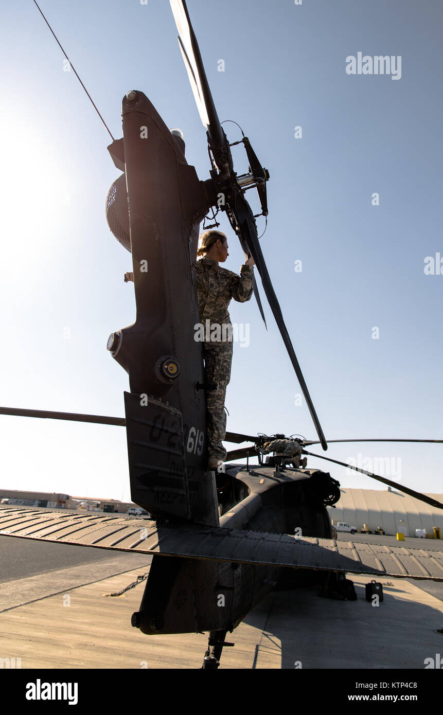 Capt. Mindy Wallace, from Hamilton, Mo., now with 3rd Battalion, 238th ...