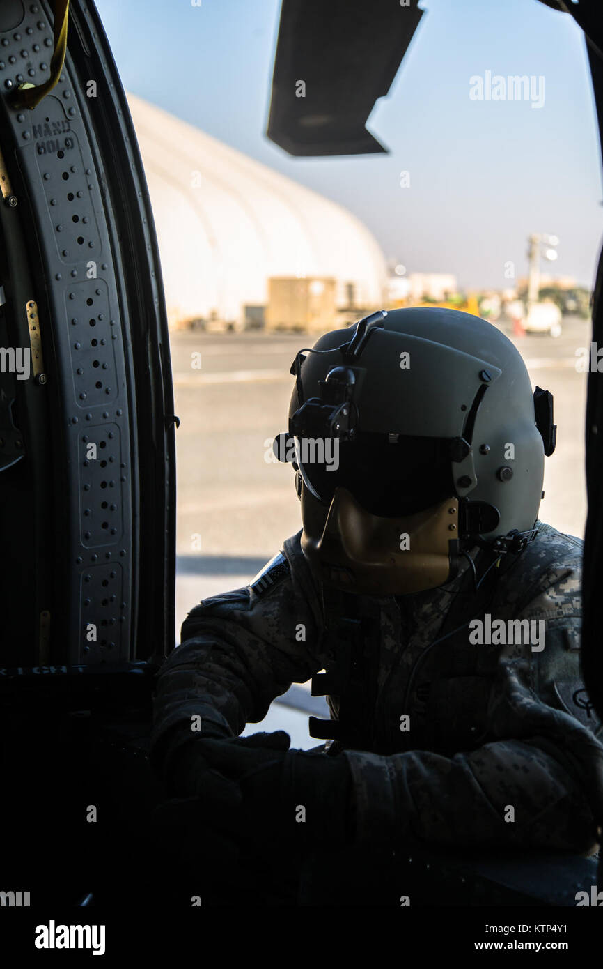 The 42nd CAB, New York Army National Guard, provided rotary winged ...
