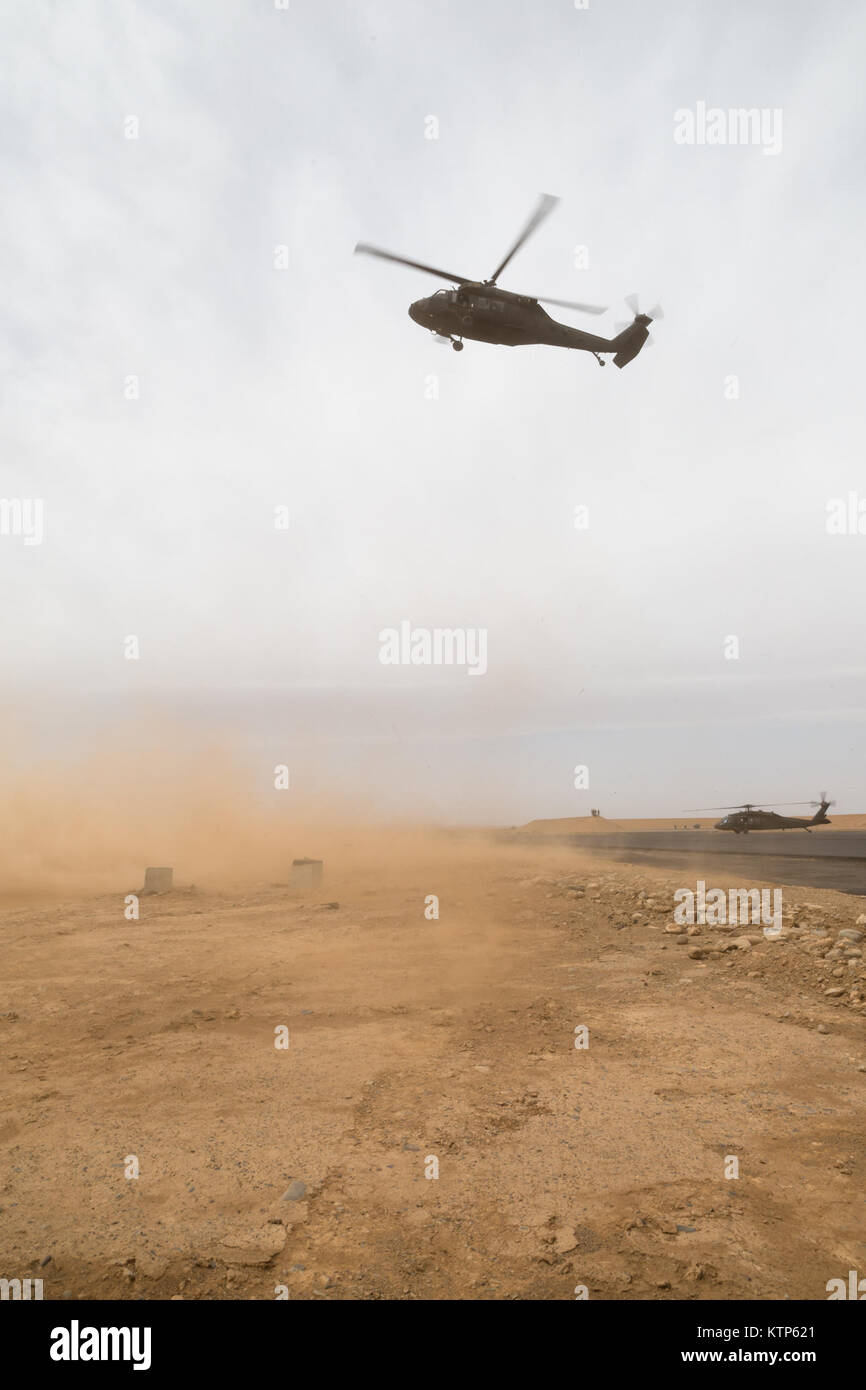 A U.S. Army UH-60 Black Hawk from Company A, 3rd Battalion, 238th ...