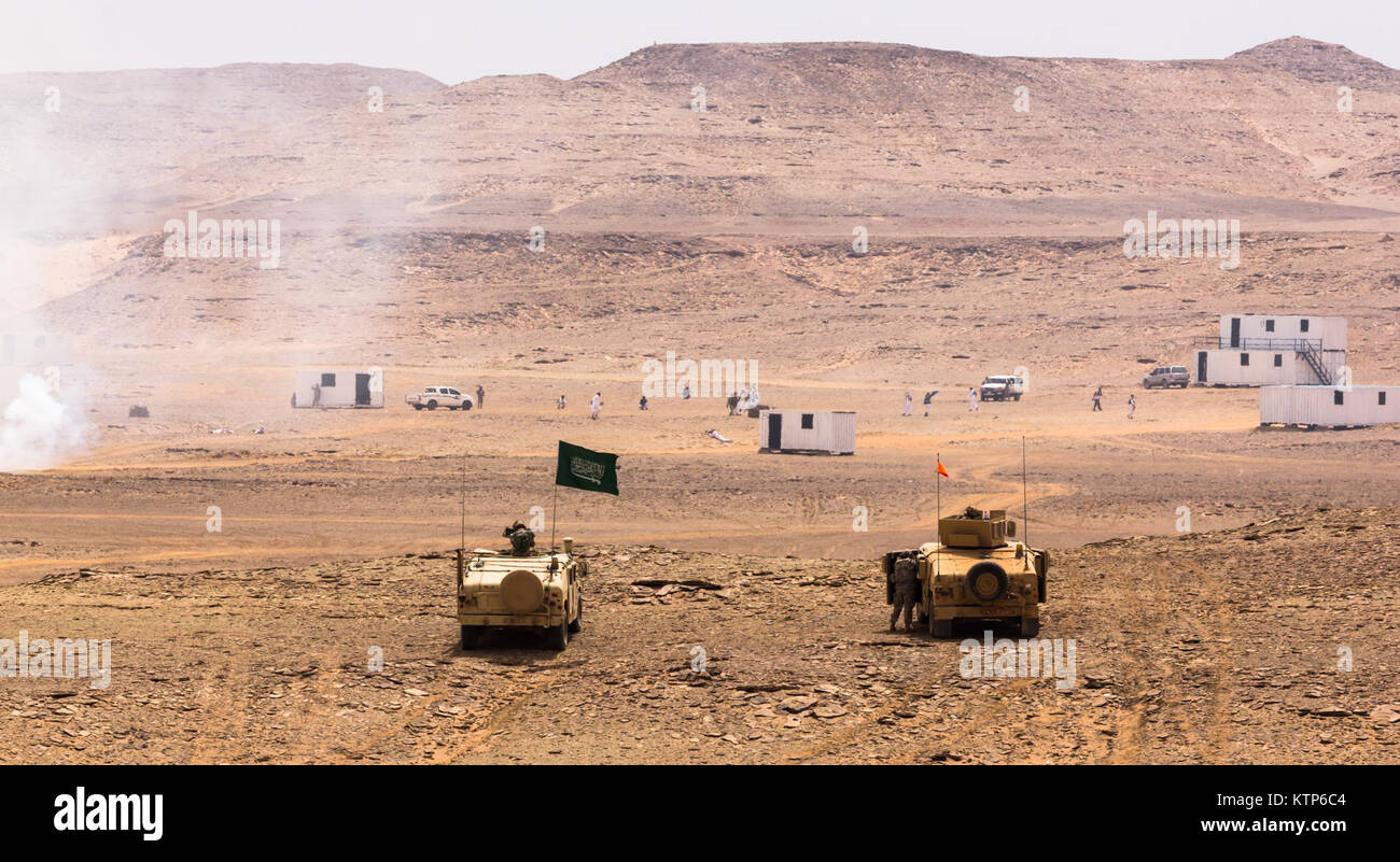 Royal saudi arabian airforce hi-res stock photography and images - Alamy