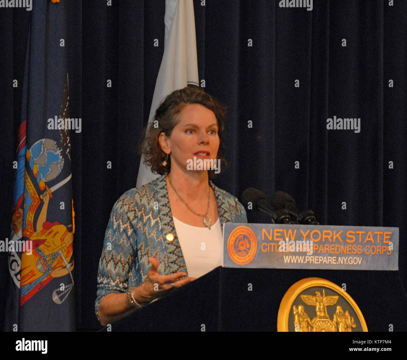 ALBANY, N.Y. -- New York State Assembly member Pat Fahy speaks at a ...