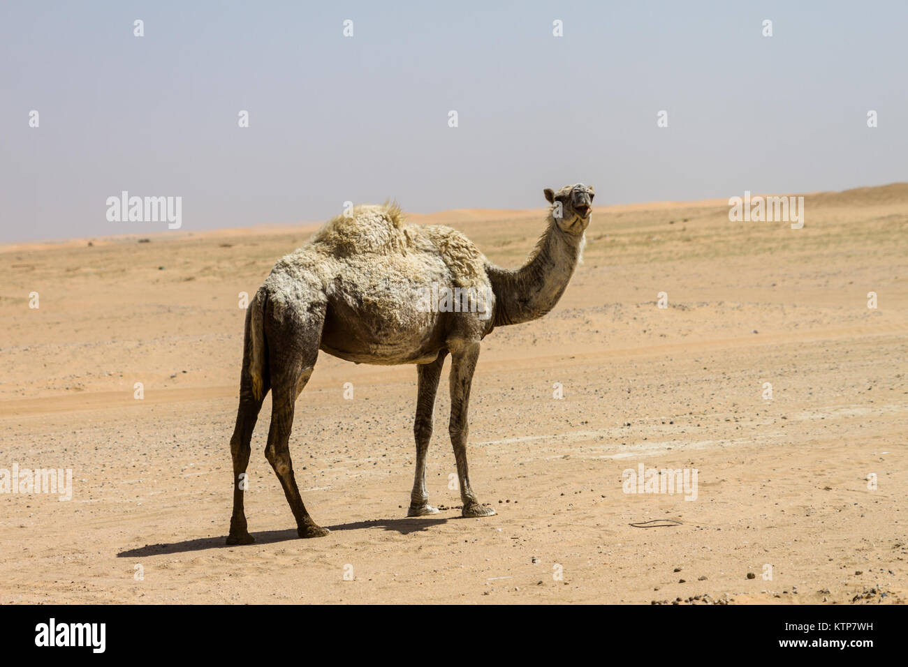 Soldiers from the 642nd Aviation Support Battalion (ASB), 42nd Combat ...