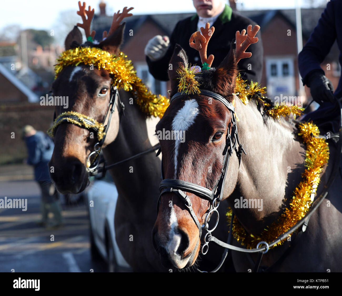 Horses wear reindeer antlers and tinsel as the Tedworth Hunt meets in ...