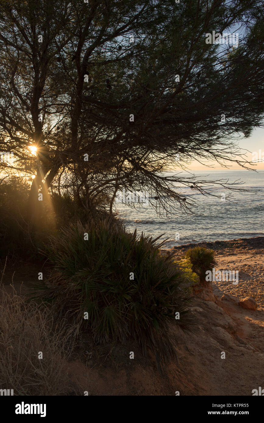 The calm sea in a very cloudy sunset in Spain Stock Photo - Alamy