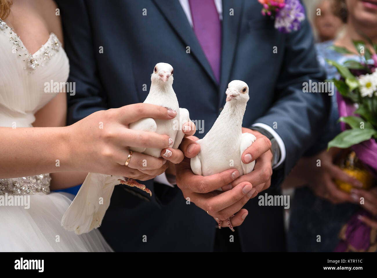Close up two white pigeons in hands of bride and groom. Wedding ...
