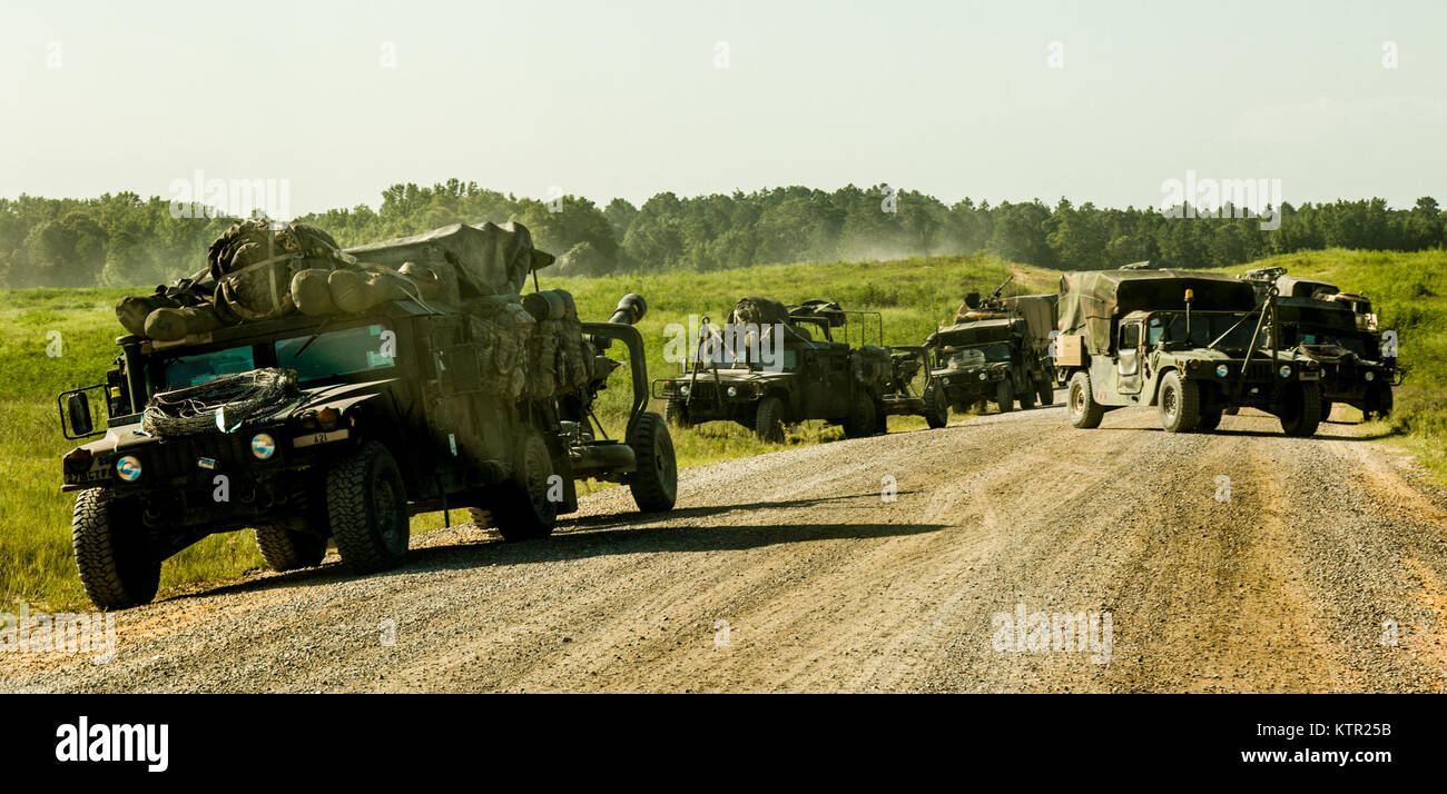 Soldiers conduct a temporary halt and conduct security during training ...