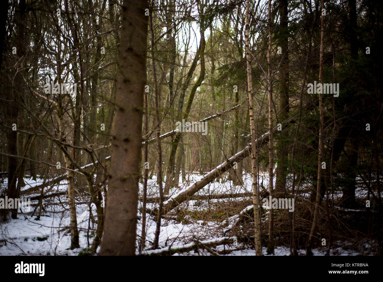 Oxford winter landscape snow uk hi-res stock photography and images - Alamy