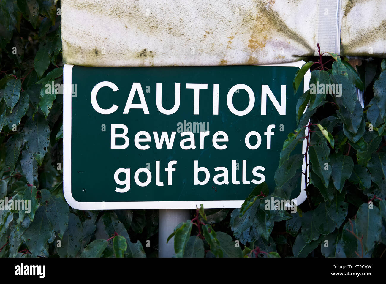 Golf Balls Beware Caution Sign Post at Course Club Stock Photo - Alamy
