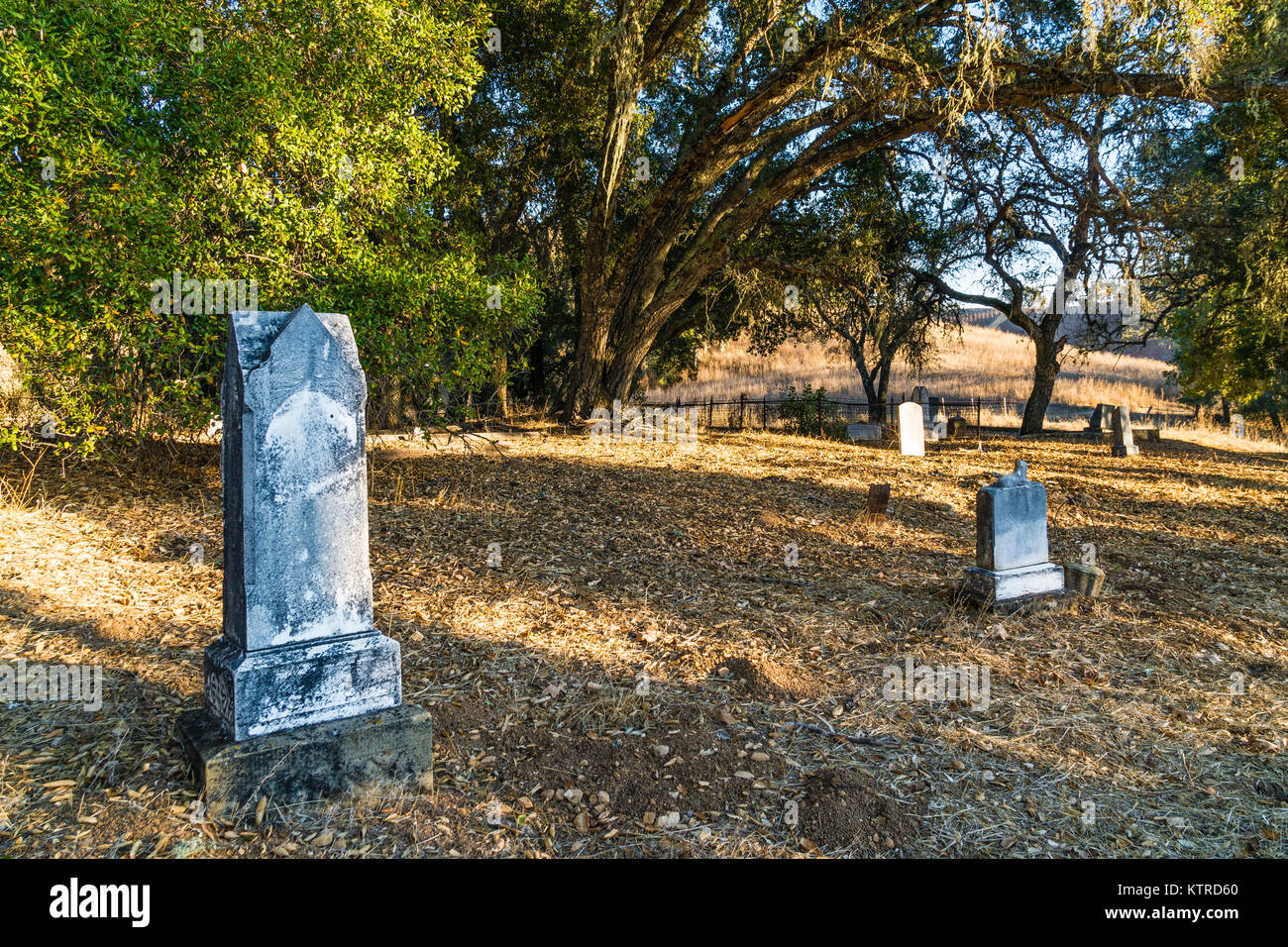 The cemetery was started by Wesley Burnett in the late 1800s and is ...