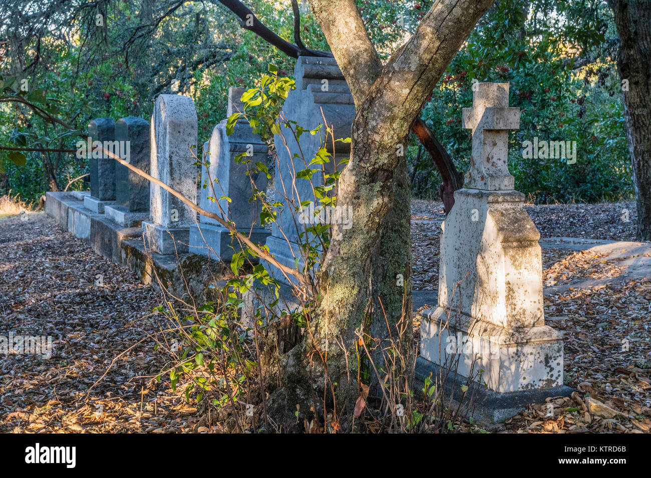 Adelaida cemetery hi-res stock photography and images - Alamy
