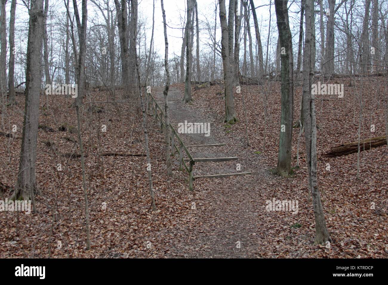 A cloudy gloomy overcast day in December at the park Stock Photo - Alamy