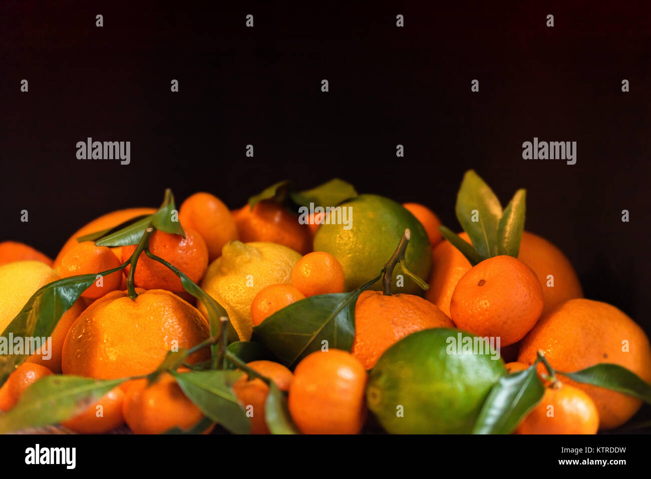 Close-up of various citrus fruits Stock Photo - Alamy