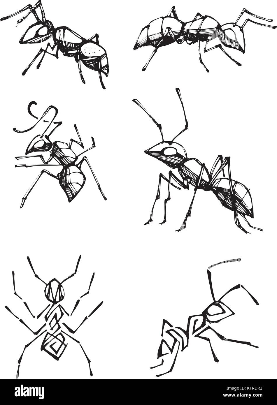 Hand drawn vector illustration or drawing of some Ink ants Stock Vector ...