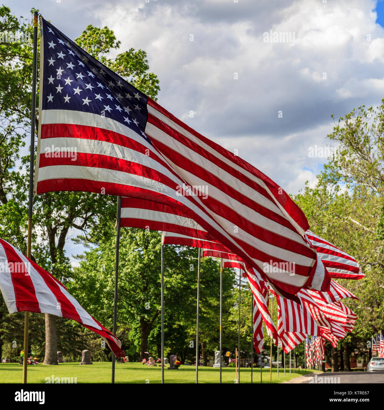 Multiple American flags in a row flying in the breeze Stock Photo - Alamy