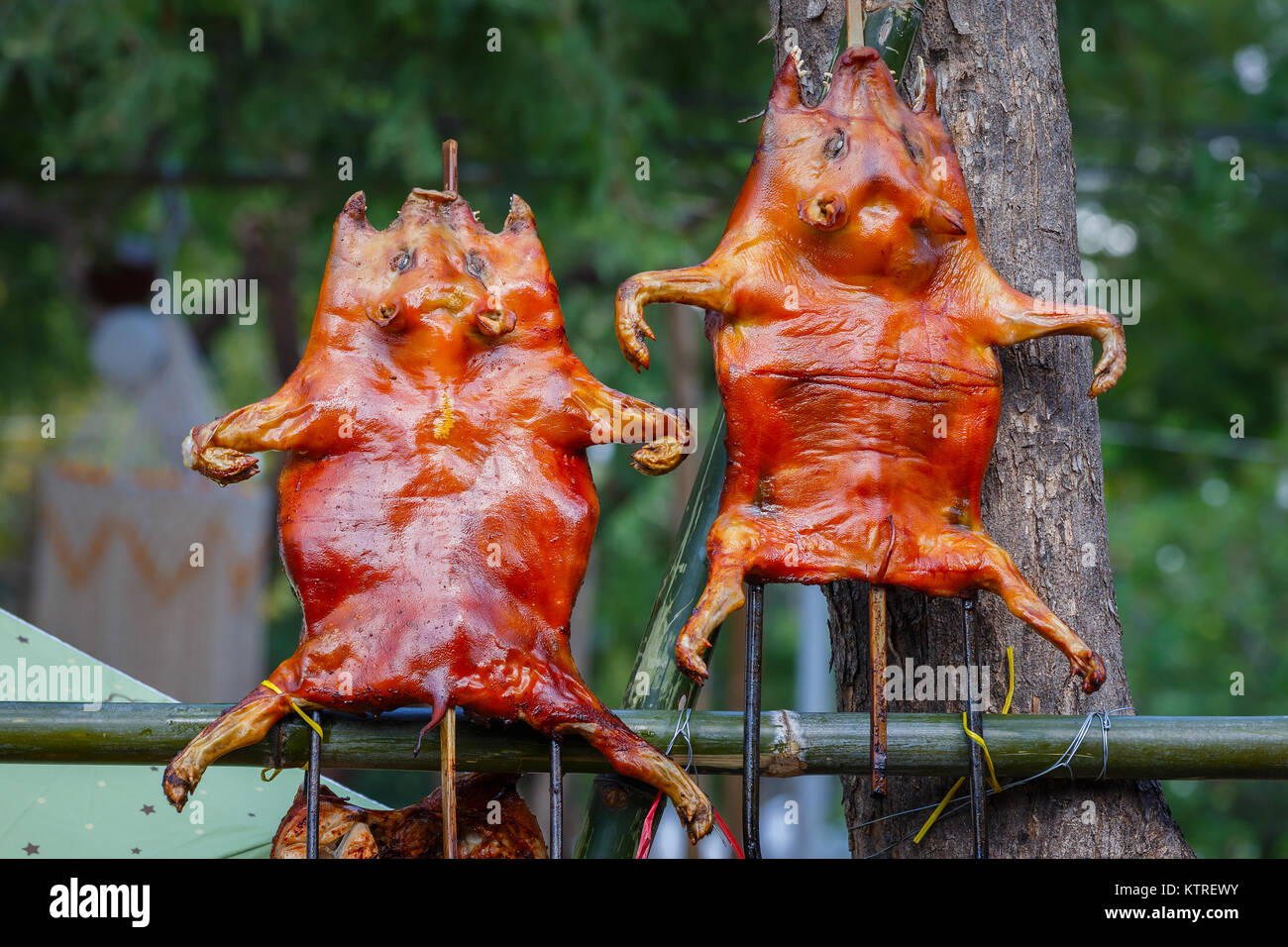 Chinese suckling pig hi-res stock photography and images - Alamy