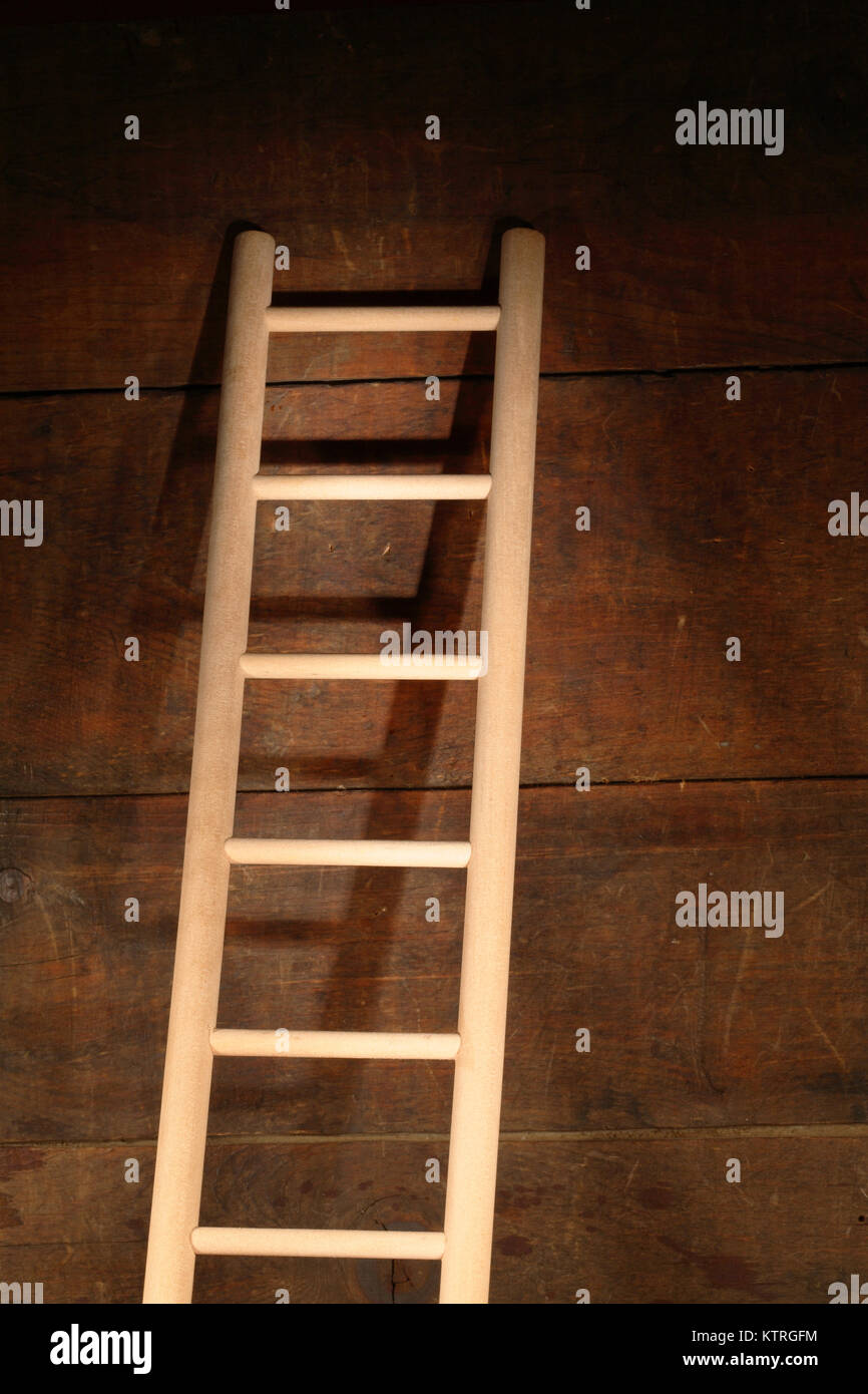 Moving up on the ladder hi-res stock photography and images - Alamy