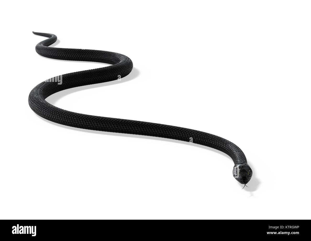 3d snake hi-res stock photography and images - Alamy