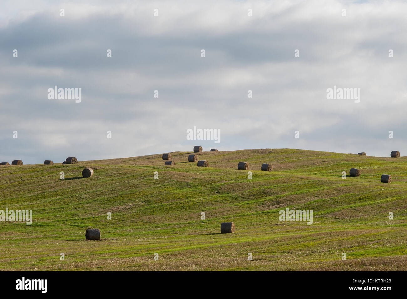 Grass bales hi-res stock photography and images - Alamy