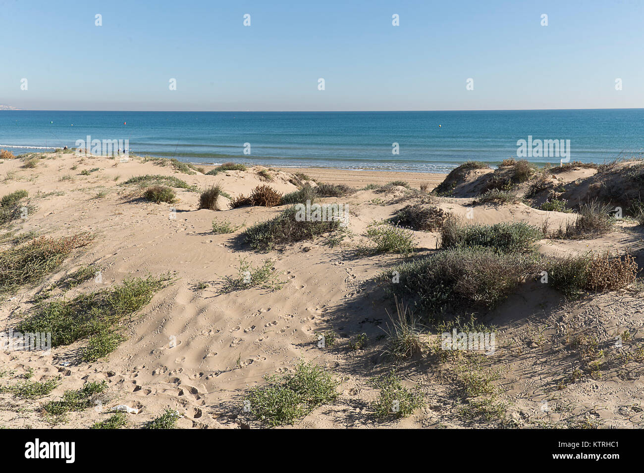 Dunes in the Marina in the municipality of Elche, province of Alicante ...