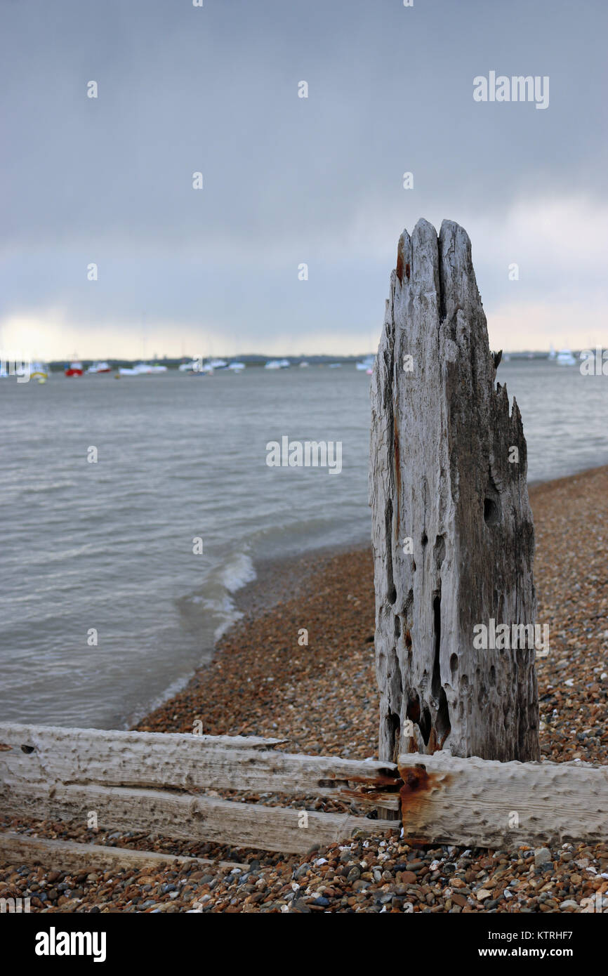 Shore of river with rotten wooden breakwater surrounded by pebble beach ...