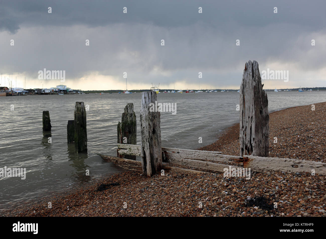 Shore of river with rotten wooden breakwater surrounded by pebble beach ...