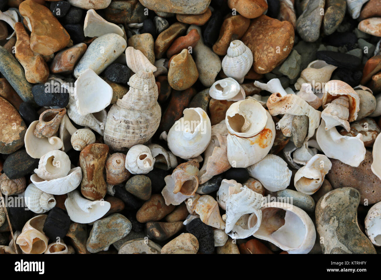 Broken slipper hi-res stock photography and images - Alamy