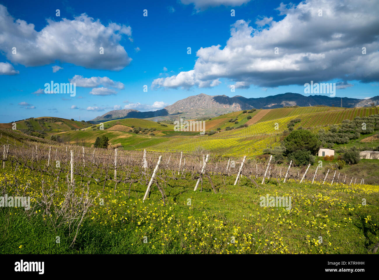 Sicilian landscape, Camporeale, Sicily,Italy,12.26.2017 Stock Photo - Alamy