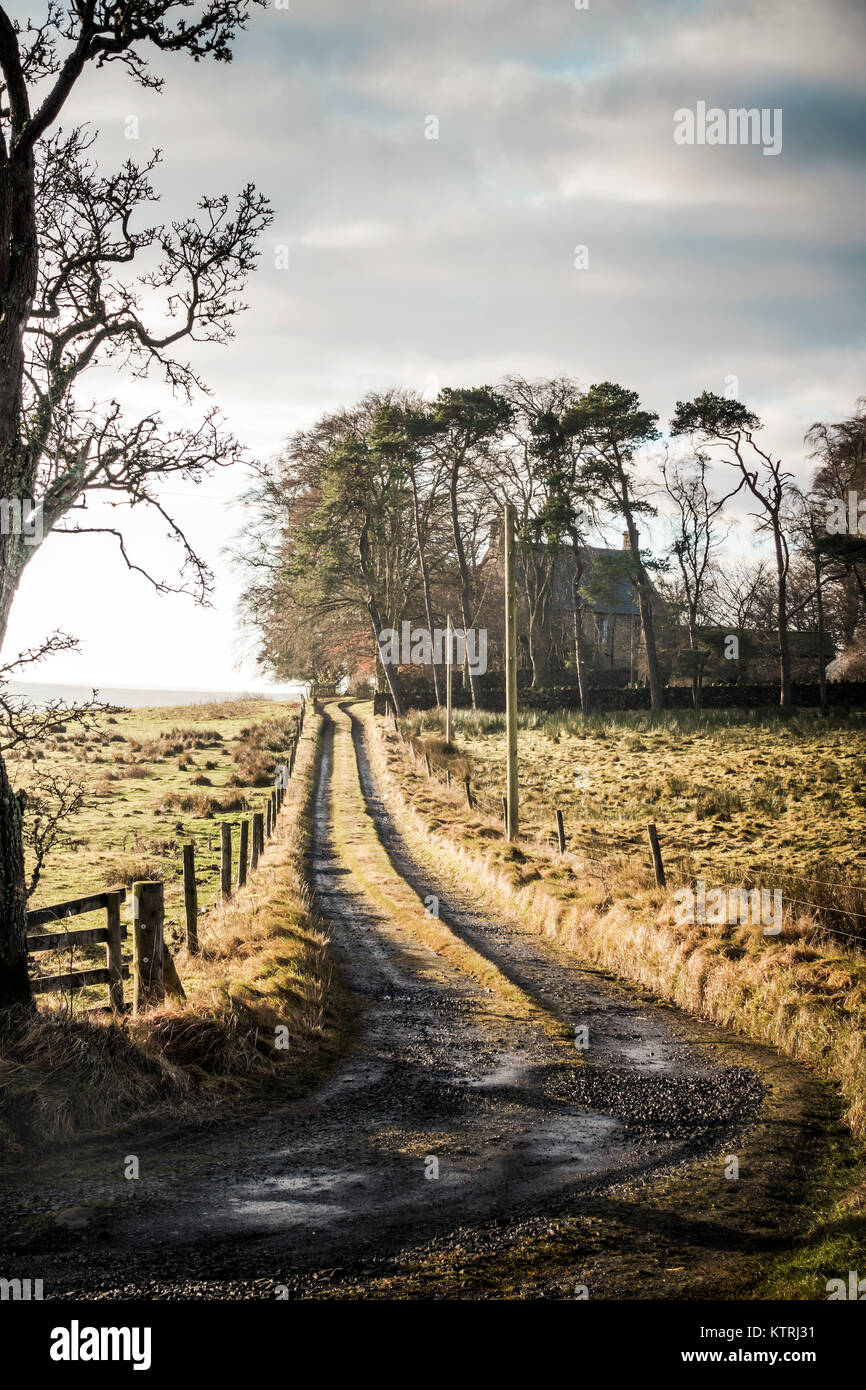 Track house hi-res stock photography and images - Alamy