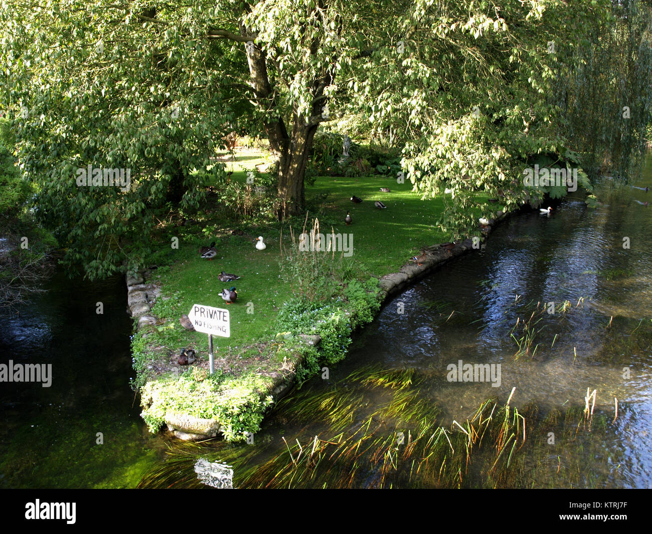The River Test from Mill Lane, Romsey, Hampshire, England, UK Stock ...