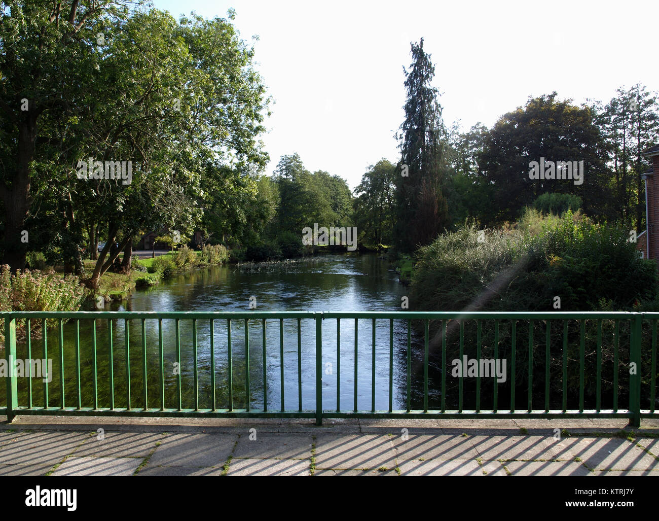 The River Test from Mill Lane, Romsey, Hampshire, England, UK Stock ...