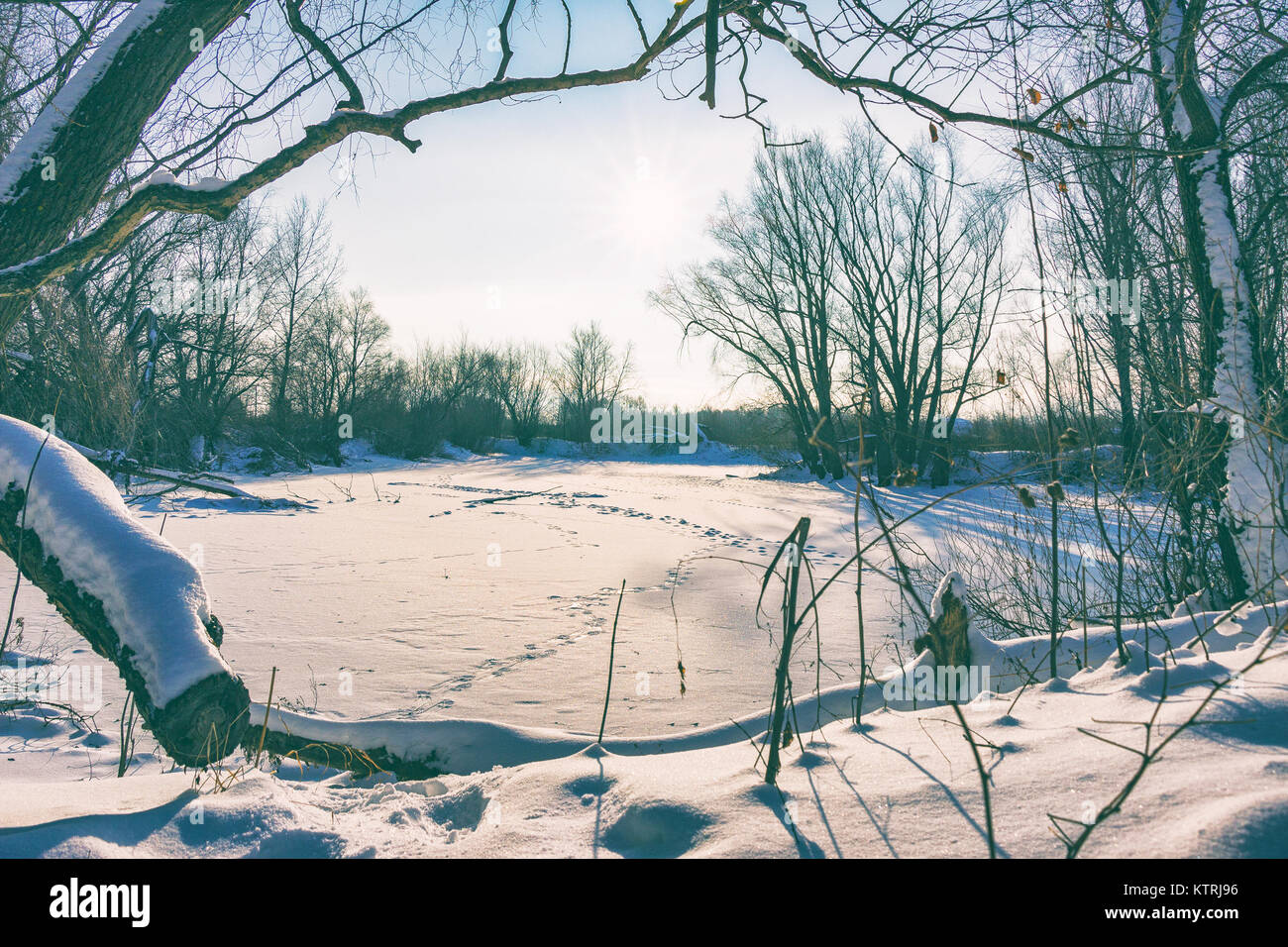Small frozen pond under the snow Stock Photo - Alamy