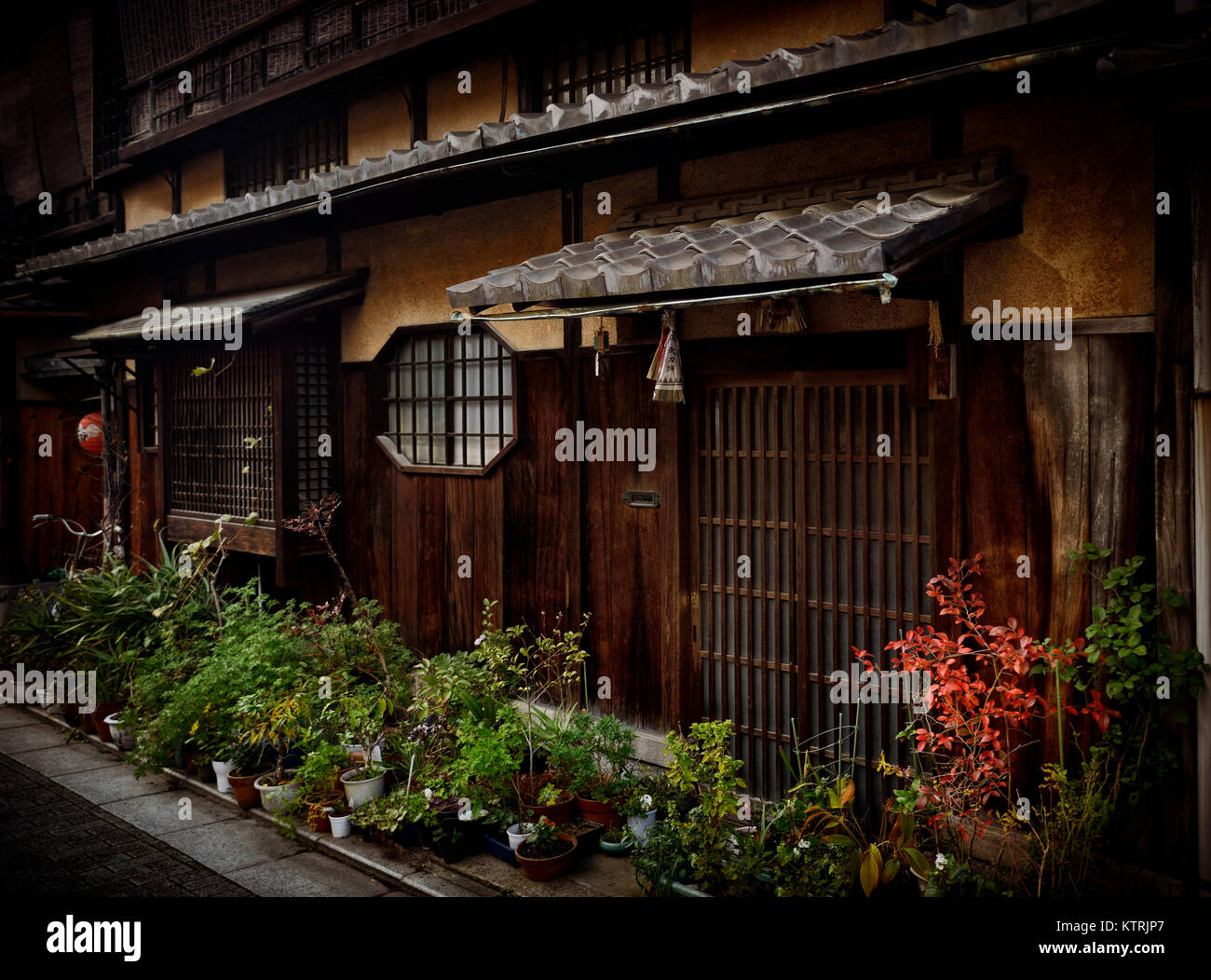 Maximimages hi-res stock photography and images - Alamy