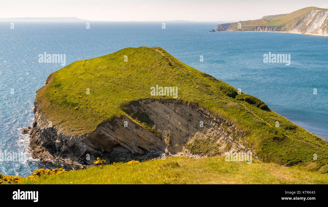 Cliffs at the Jurassic Coast, seen on South West Coast Path between ...