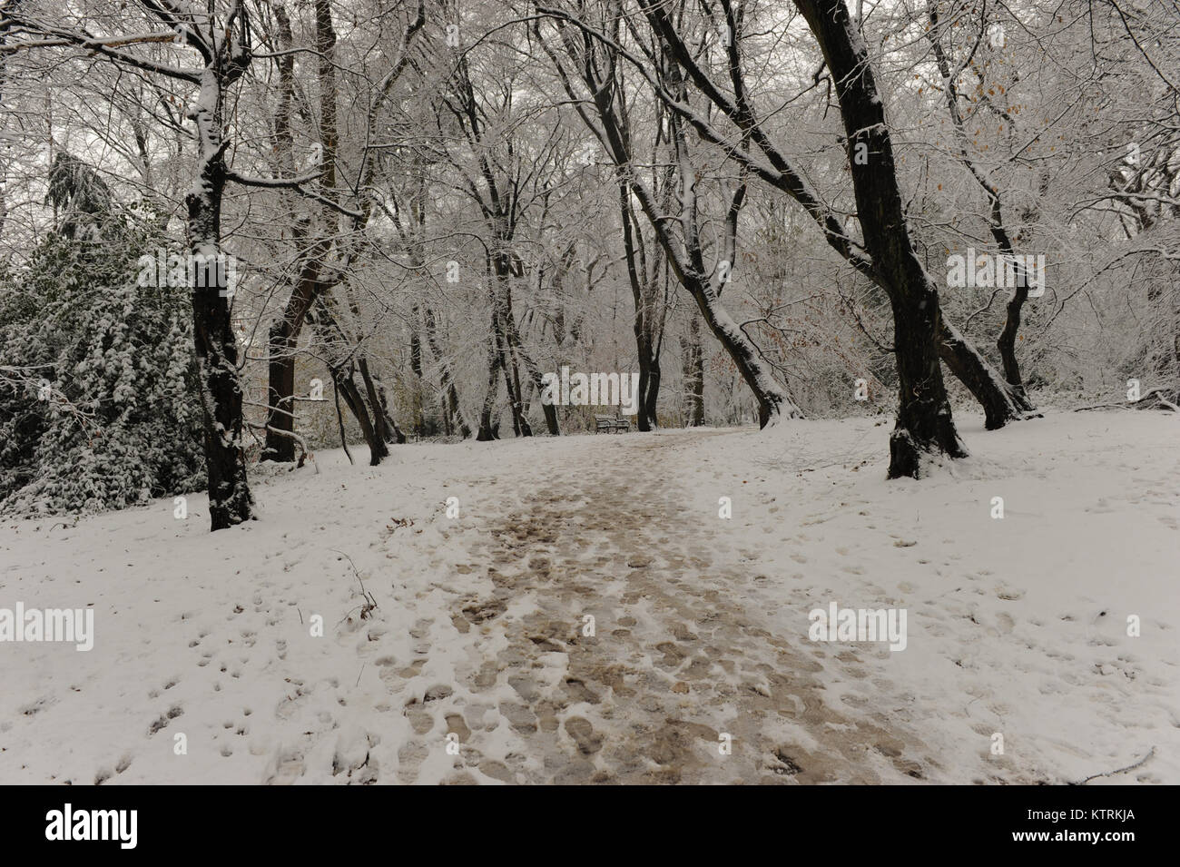 December 10 2017 hi-res stock photography and images - Alamy