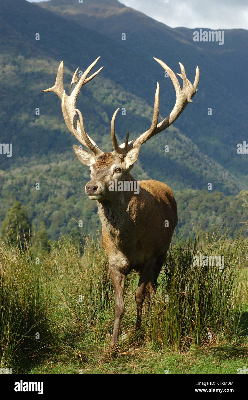 322 west hi-res stock photography and images - Alamy