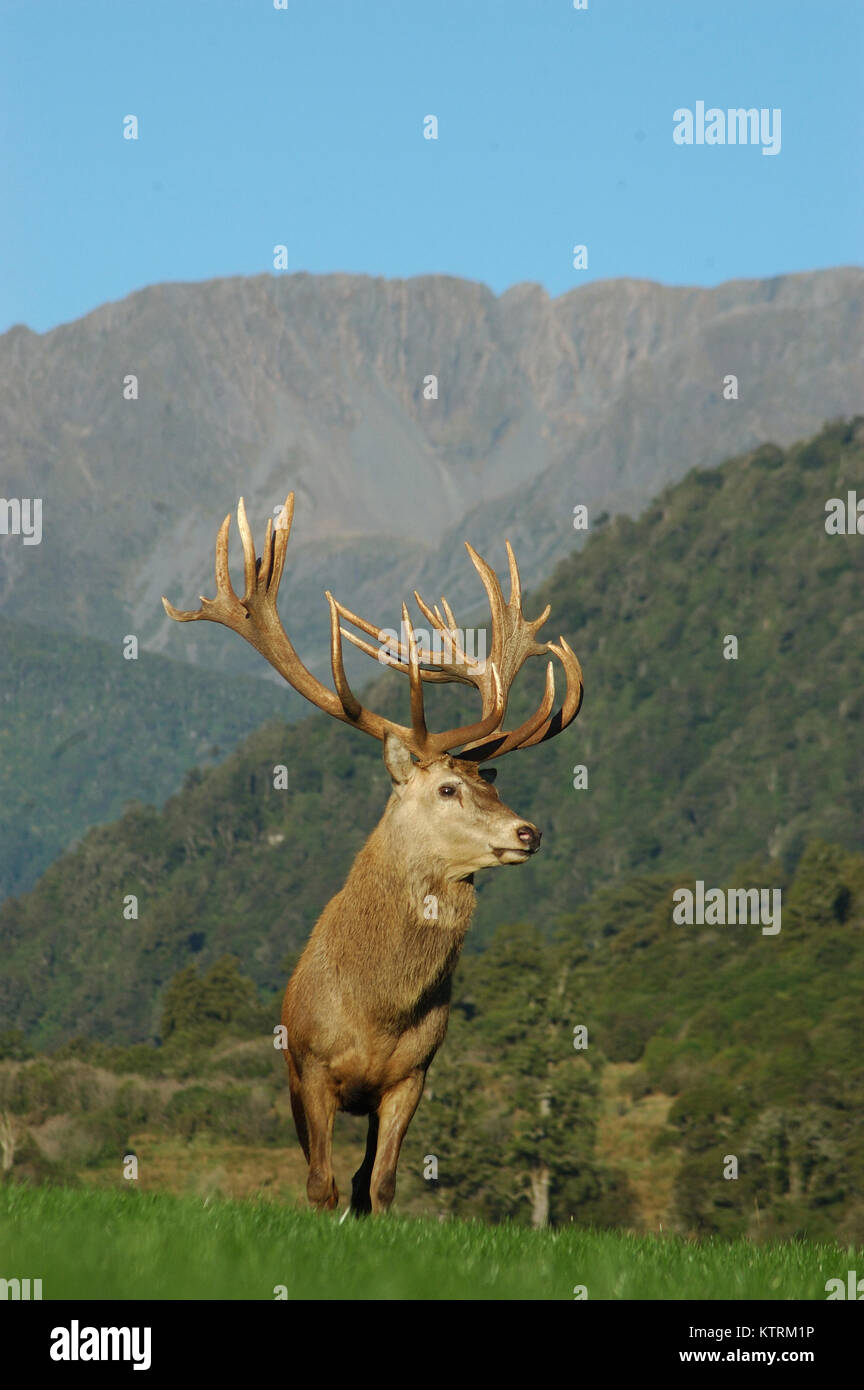 21 west hi-res stock photography and images - Alamy