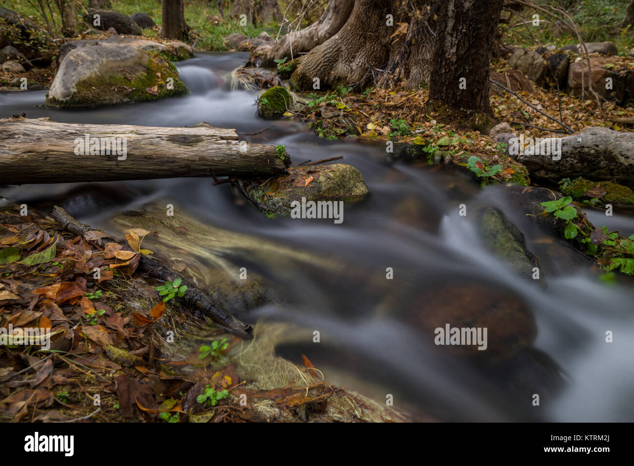 Water flows down Fossil Springs at the Coconino National Forest Fossil ...