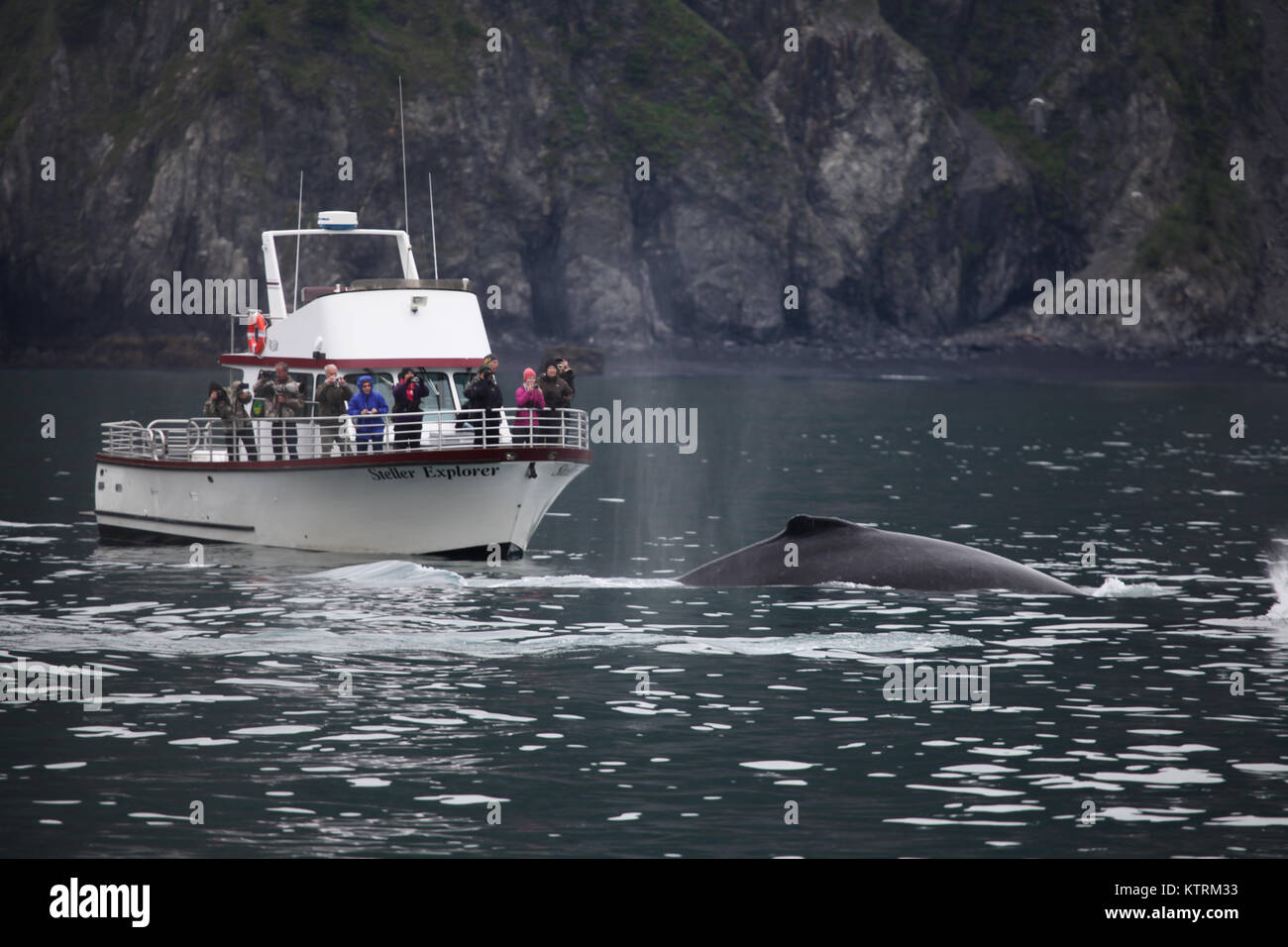 Kenai fjords national park diving hi-res stock photography and images ...