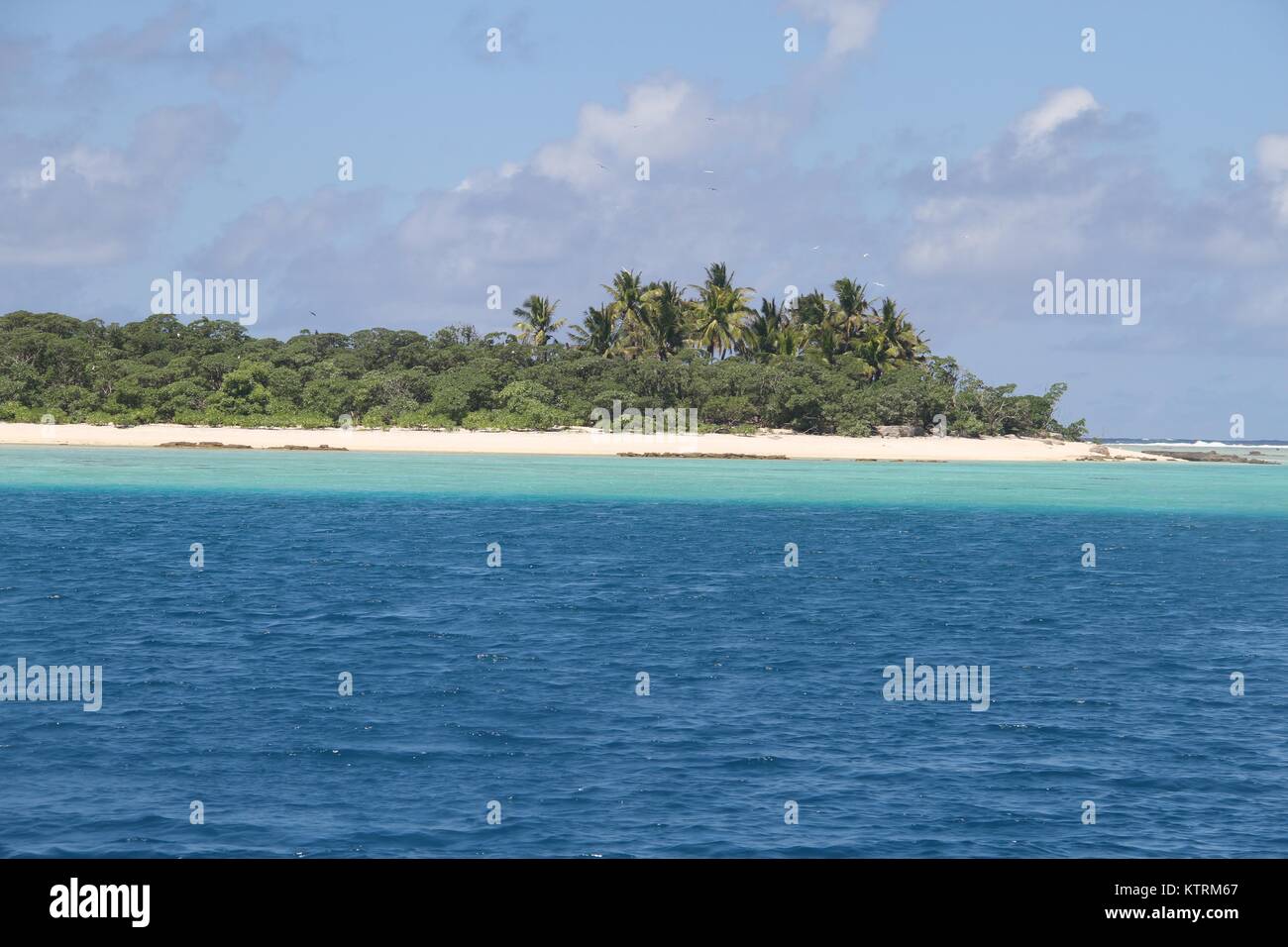 Turquoise water and white sand beach at the Rose Atoll Marine National ...