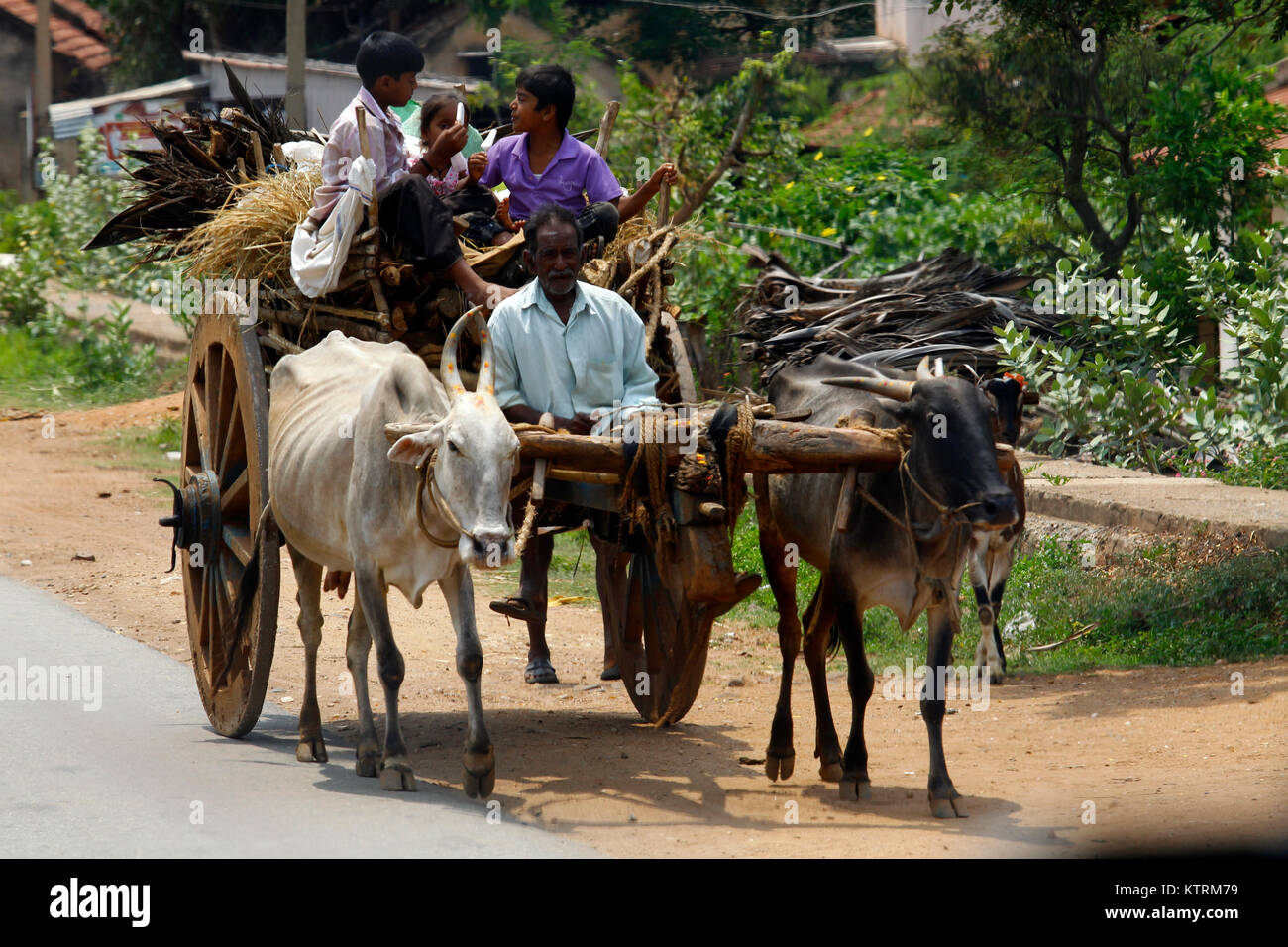 Cart street scene at the interior of Karnataka, India Stock Photo - Alamy