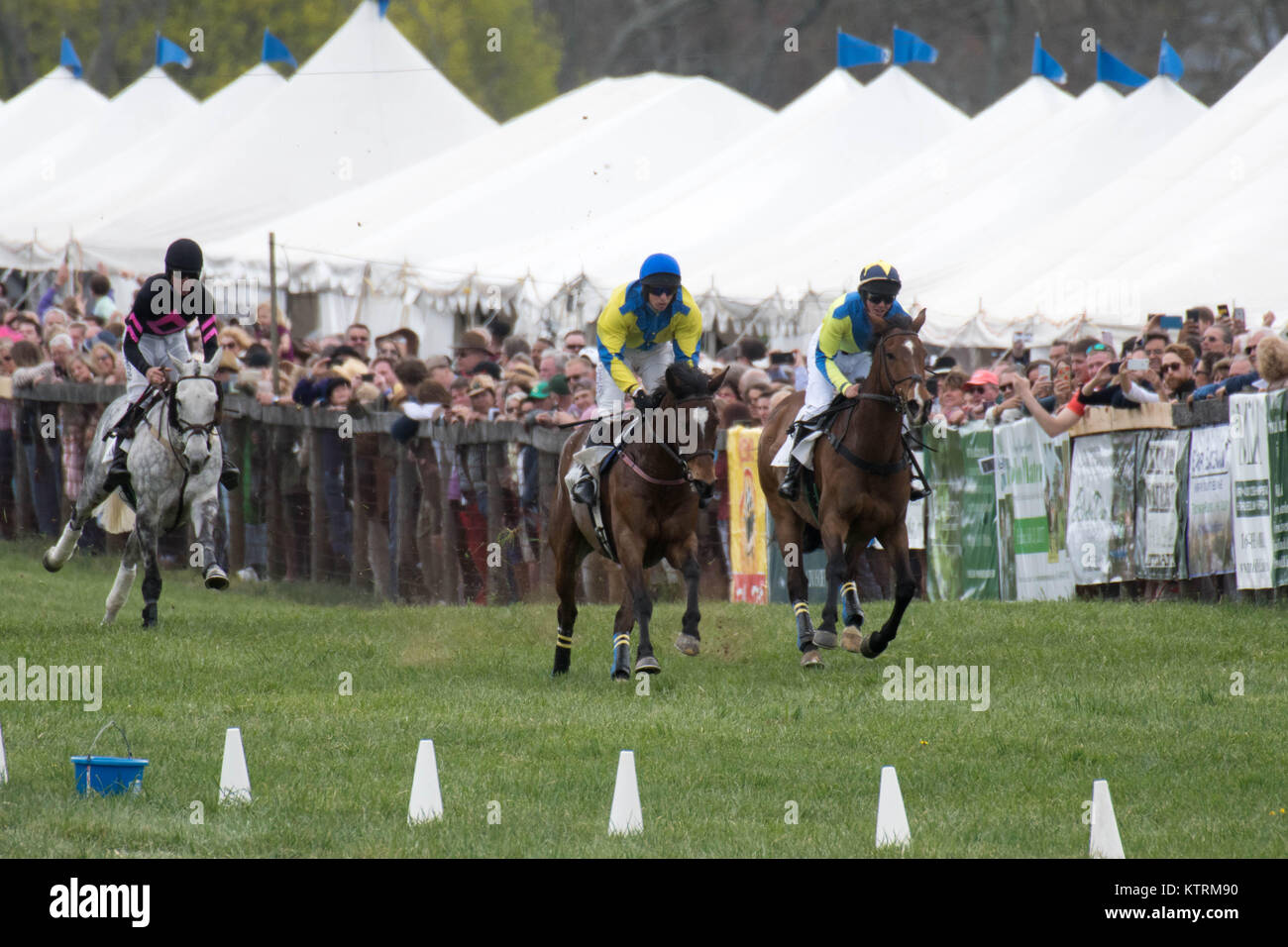 Steeplechase manor hi-res stock photography and images - Alamy
