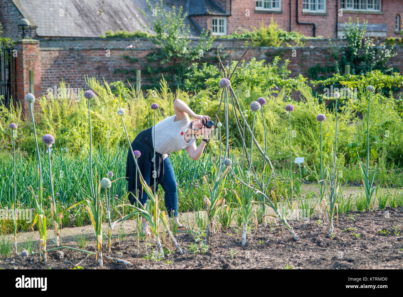 Crouches hi-res stock photography and images - Alamy