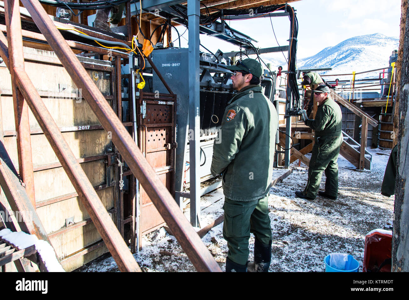 Bison park rangers hi-res stock photography and images - Alamy