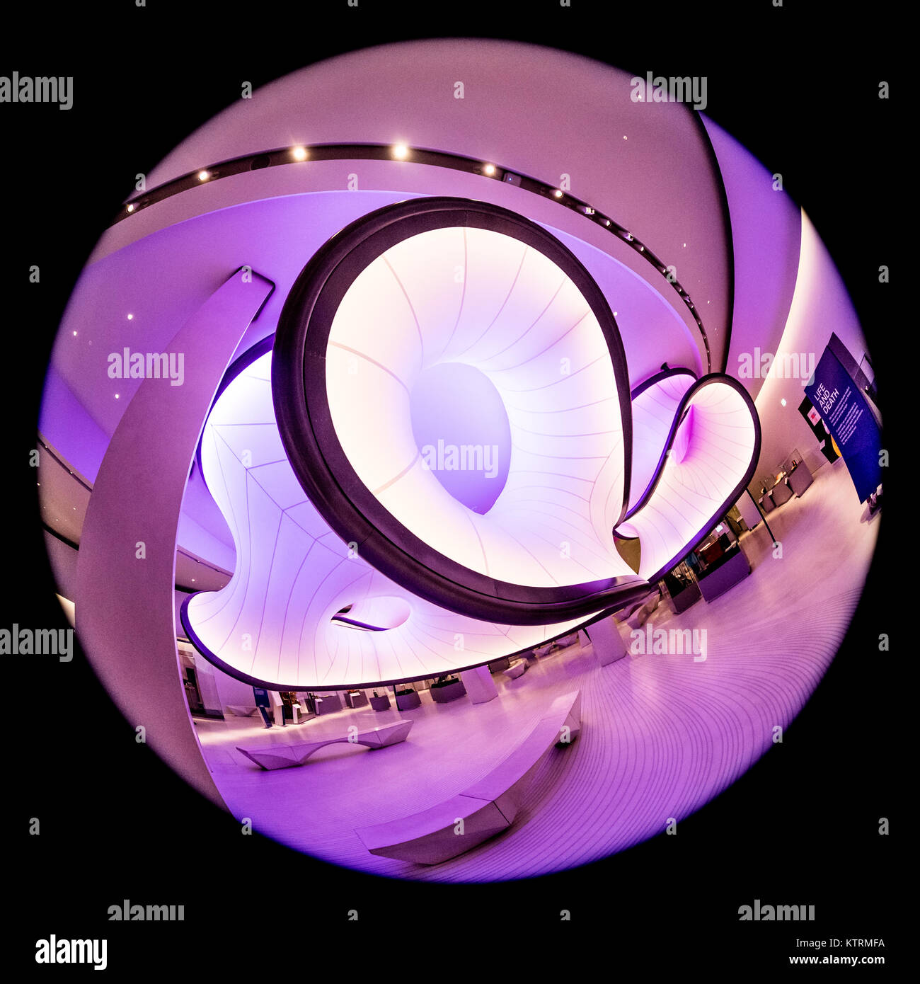 Mathematics hi-res stock photography and images - Alamy